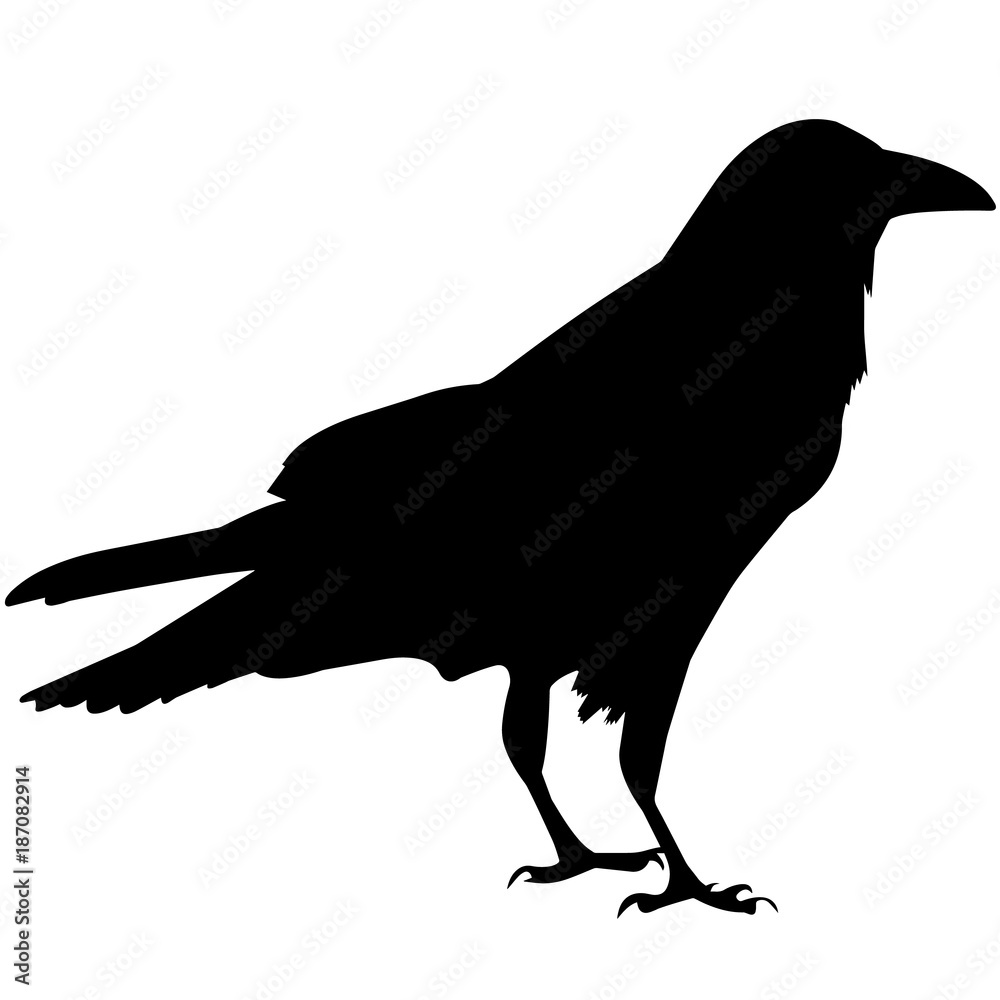 Raven Silhouette Vector Graphics Stock Vector | Adobe Stock