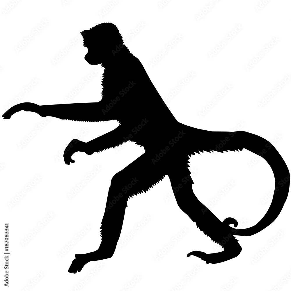 Spider Monkey Logo