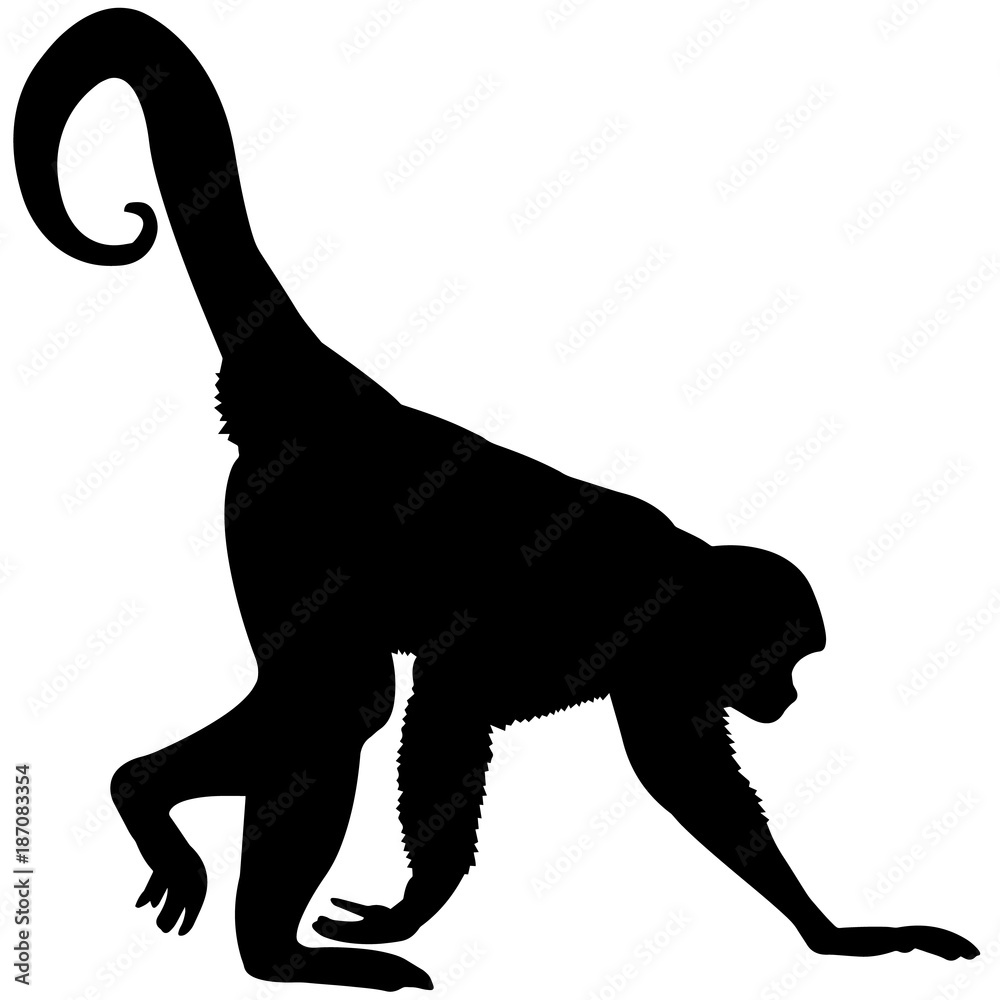 Spider monkey Silhouette Vector Graphics Stock Vector | Adobe Stock