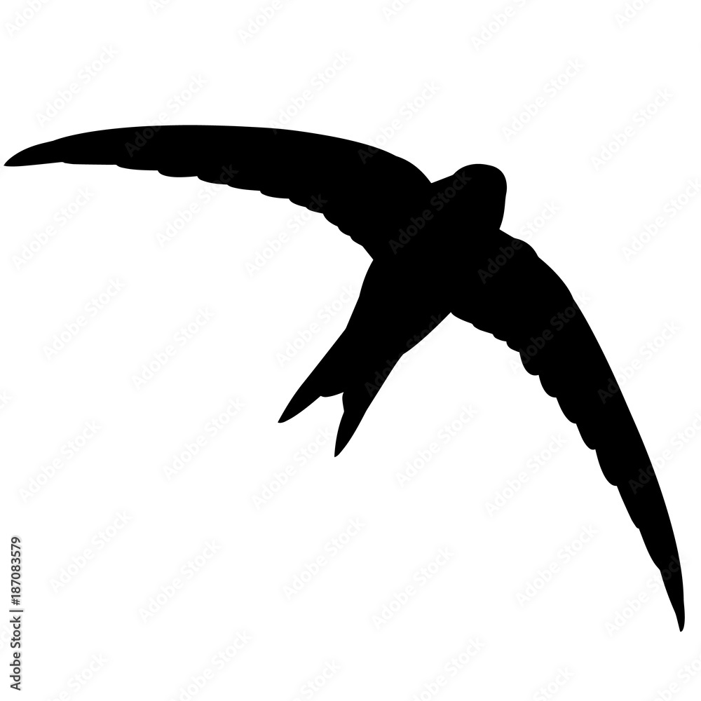 Swift Silhouette Vector Graphics Stock Vector | Adobe Stock