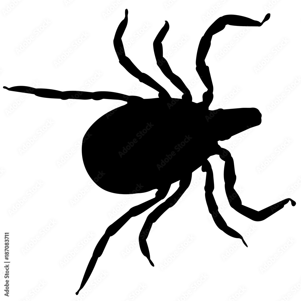 Tick Silhouette Vector Graphics Stock Vector | Adobe Stock