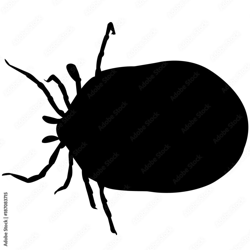 Tick Silhouette