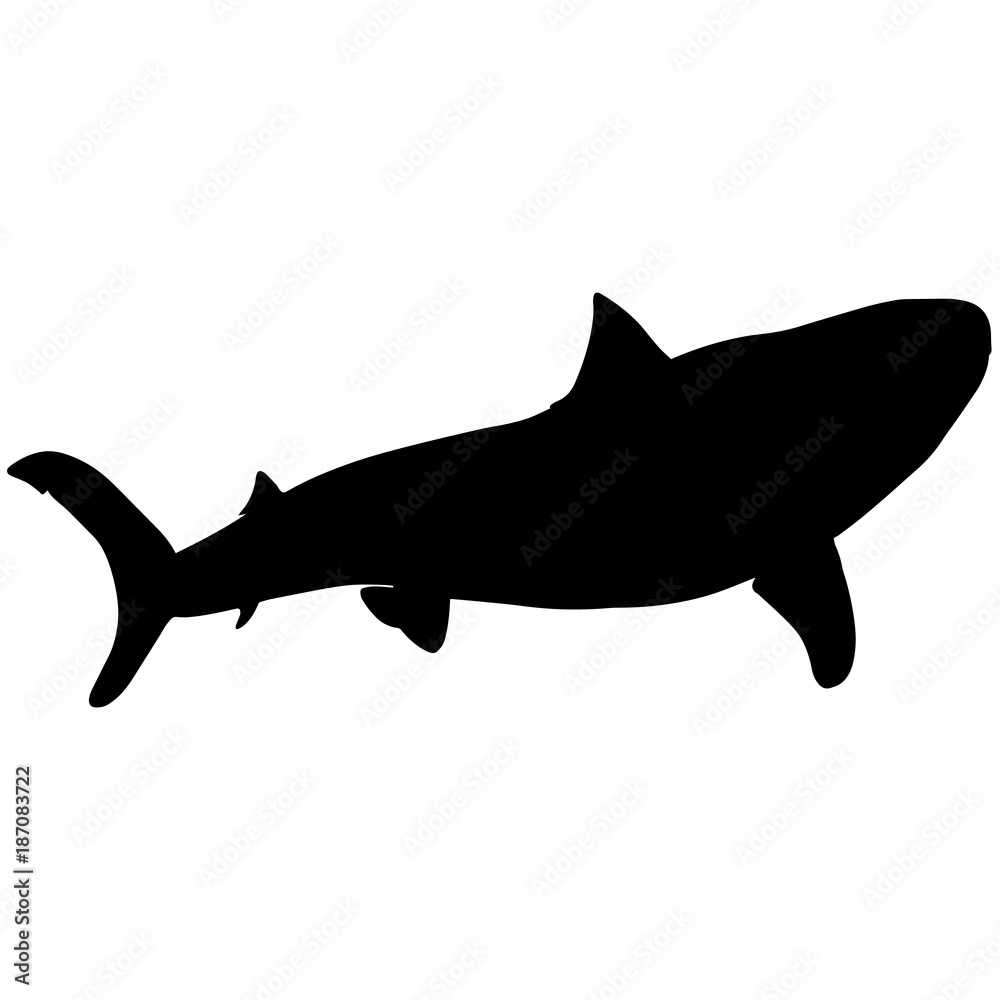 Tiger shark Silhouette Vector Graphics Stock Vector | Adobe Stock