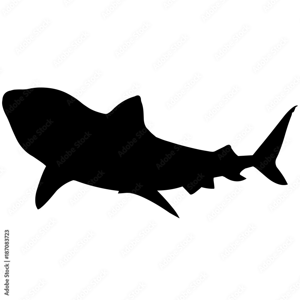 Tiger Shark Silhouette