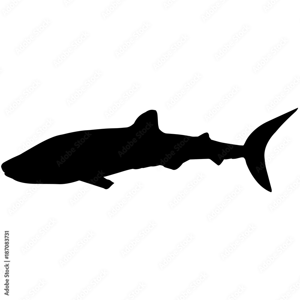 Tiger Shark Silhouette