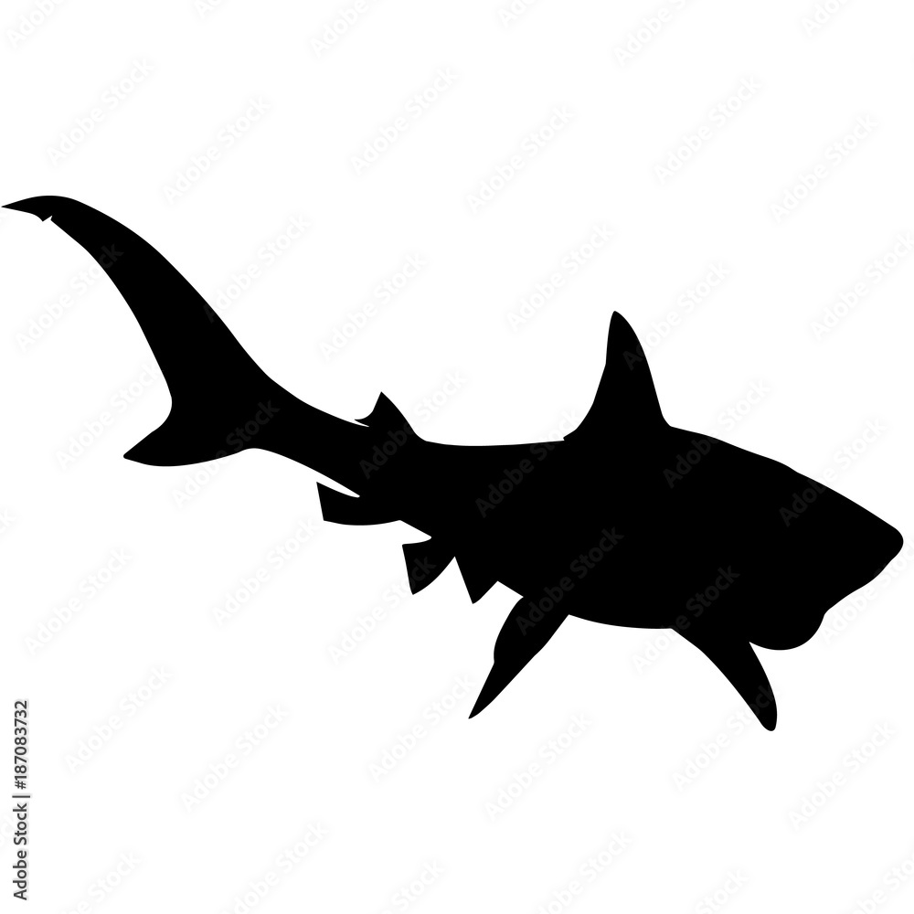 Tiger Shark Silhouette Vector Graphics Stock Vector Adobe Stock