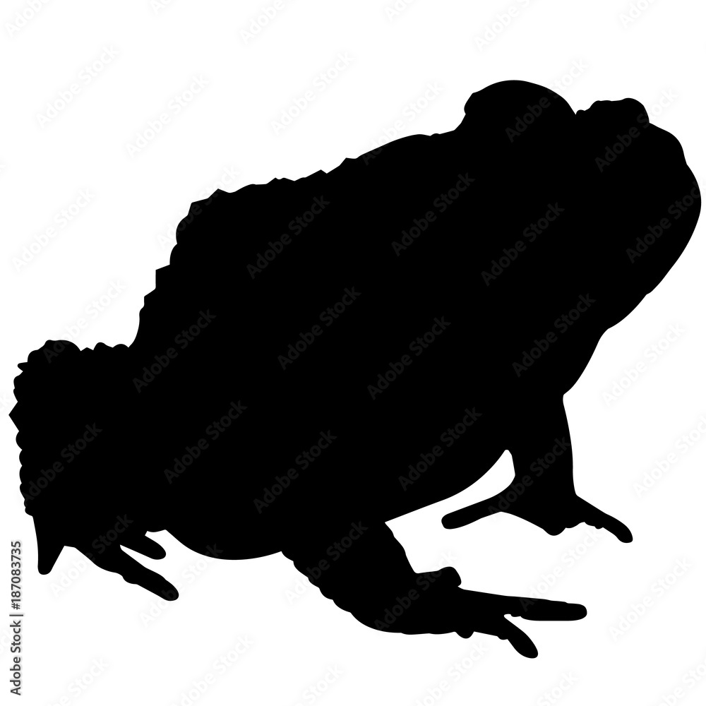 Toad Silhouette Vector Graphics Stock Vector | Adobe Stock