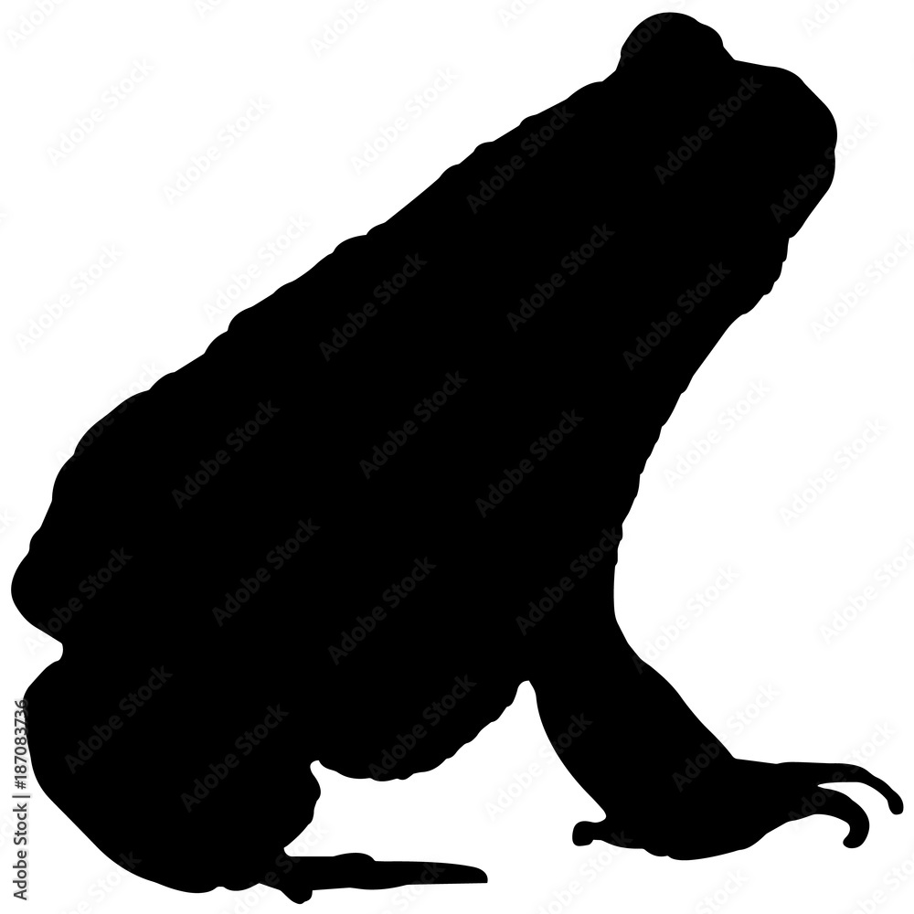 Toad Silhouette