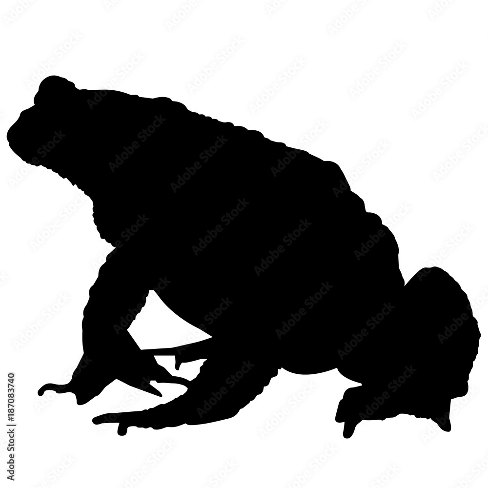 Toad Silhouette Vector Graphics Stock Vector | Adobe Stock