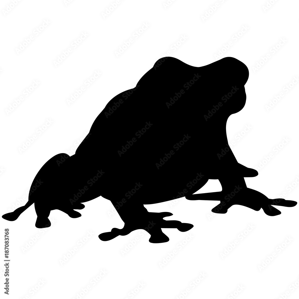 Tree frog Silhouette Vector Graphics Stock Vector | Adobe Stock