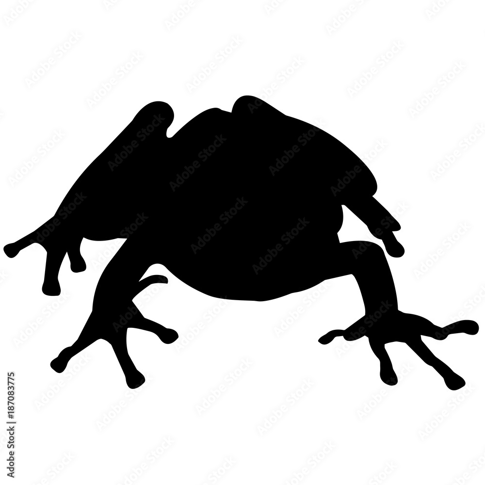 Tree frog Silhouette Vector Graphics Stock Vector | Adobe Stock