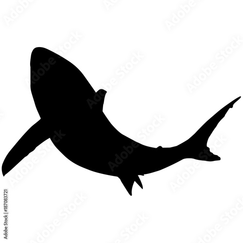 Tiger shark Silhouette Vector Graphics Stock Vector | Adobe Stock