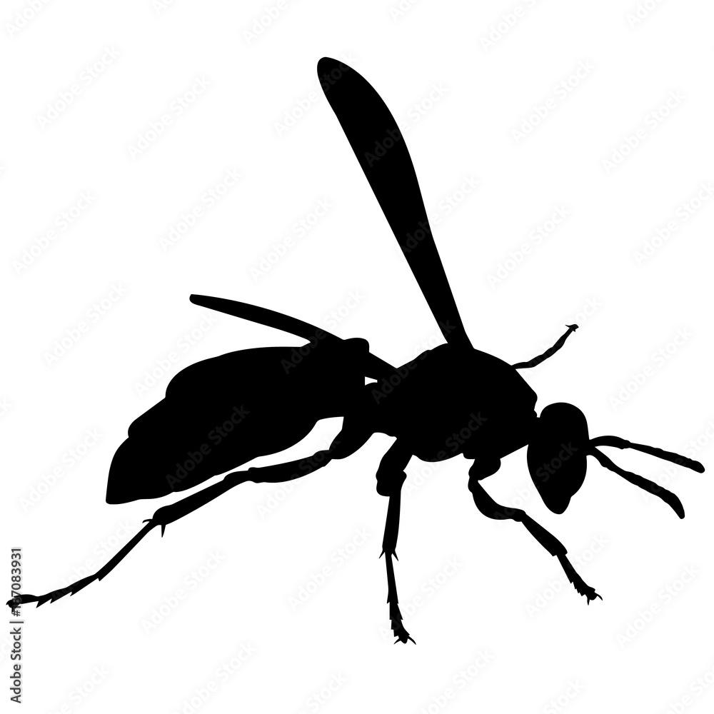 Wasp Silhouette Vector Graphics Stock Vector | Adobe Stock