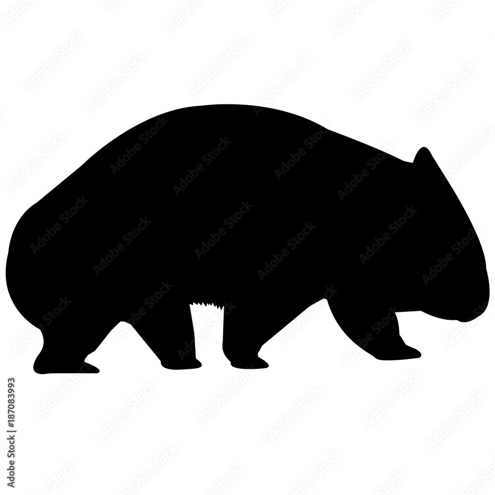 Wombat Silhouette Vector Graphics Stock Vector | Adobe Stock