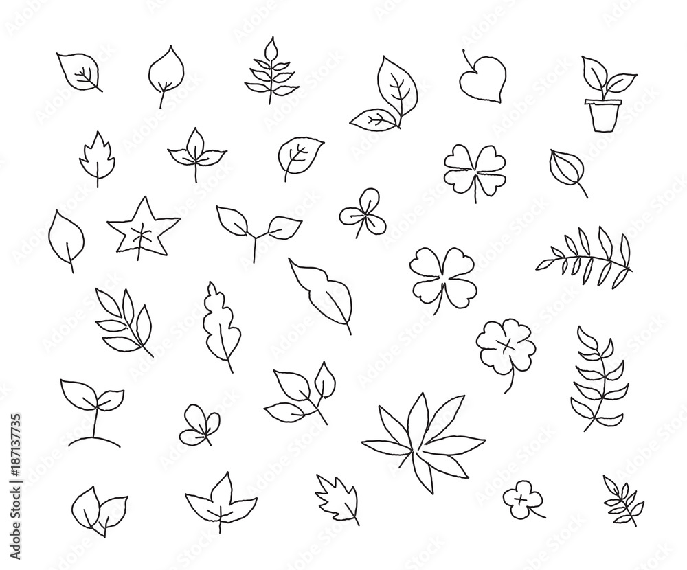 Different Types Of Leaves Drawing different-types-of-leaves-drawing