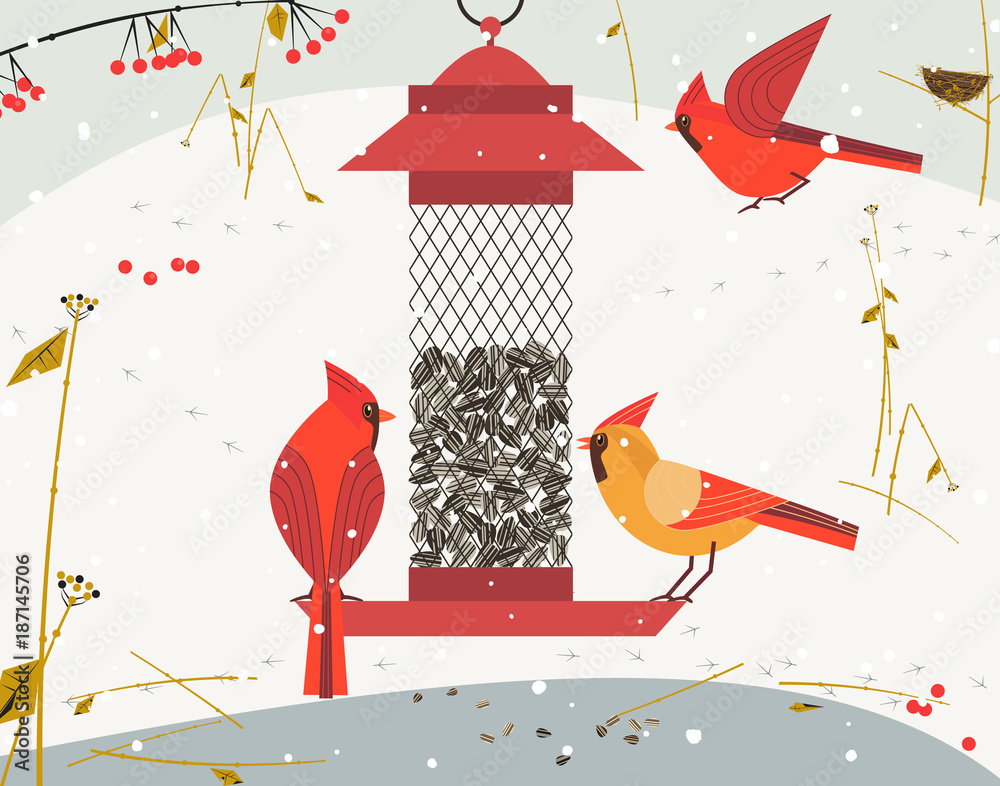 Cute Red Northern cardinal bird poster. Comic flat cartoon. Minimalism ...