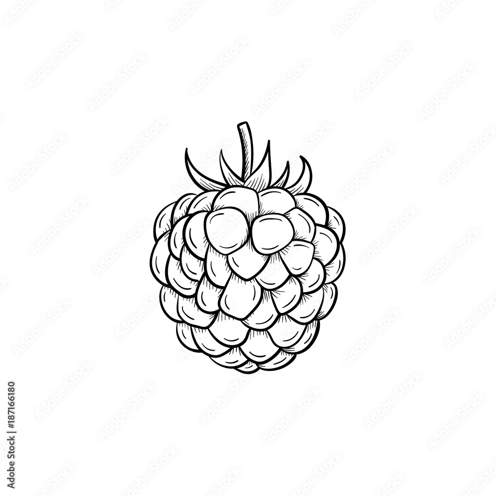 Raspberry Outline