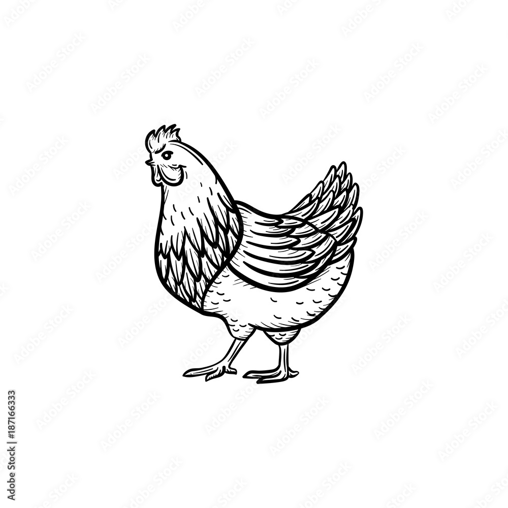 Vector hand drawn Chicken head outline doodle icon. Chicken head sketch ...