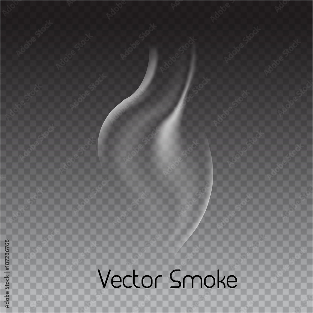 vector cigarette smoke on transparent background. Isolated smoke Stock ...