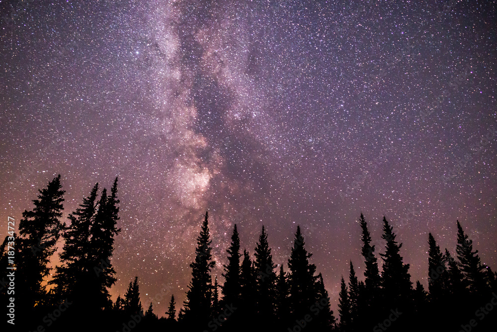 Milky way tree line. Silhouette of pine trees against a colorful milky ...