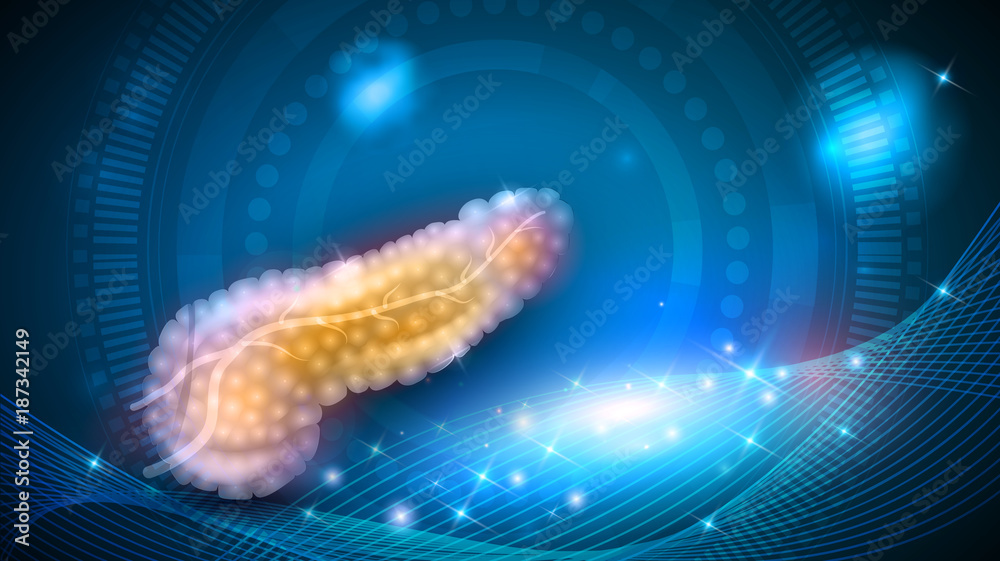 Pancreas anatomy illustration, health care on a glowing background ...