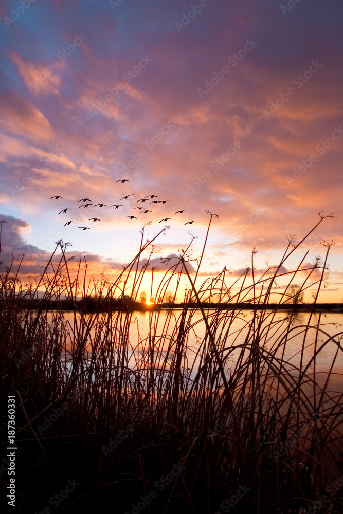 Waterfront Sunset Stock Photo | Adobe Stock