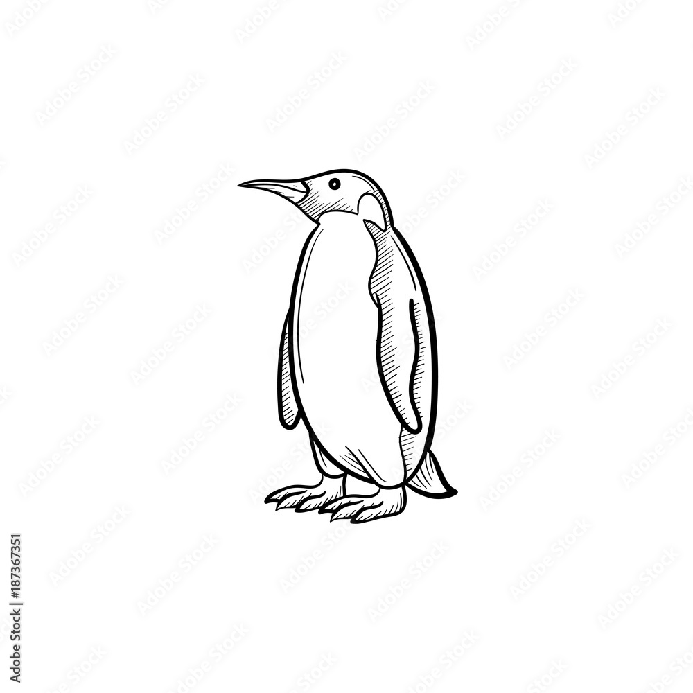 Vector hand drawn Penguin outline doodle icon. Penguin sketch ...