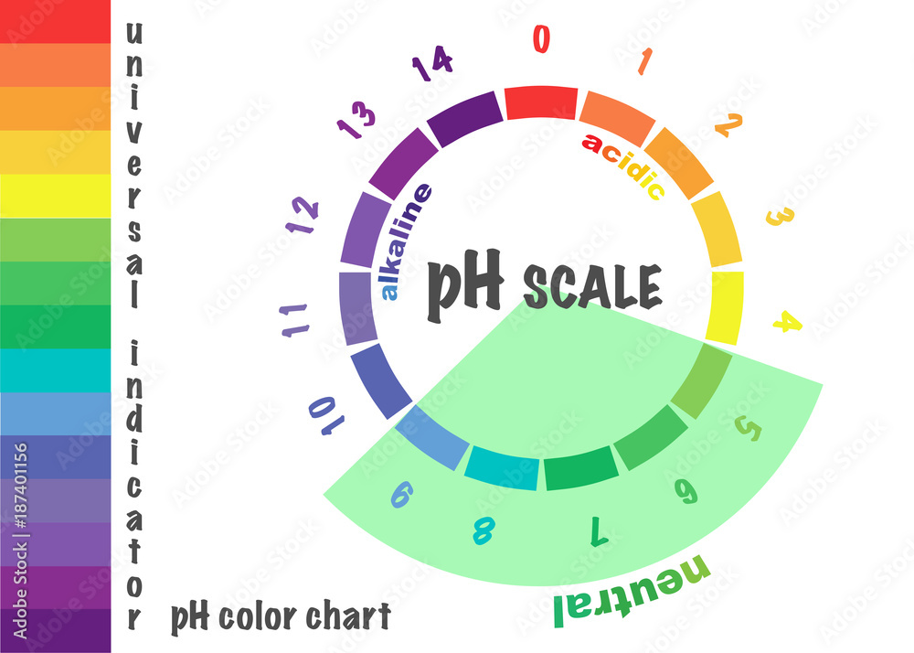 scale of ph value for acid and alkaline solutions, infographic acid ...