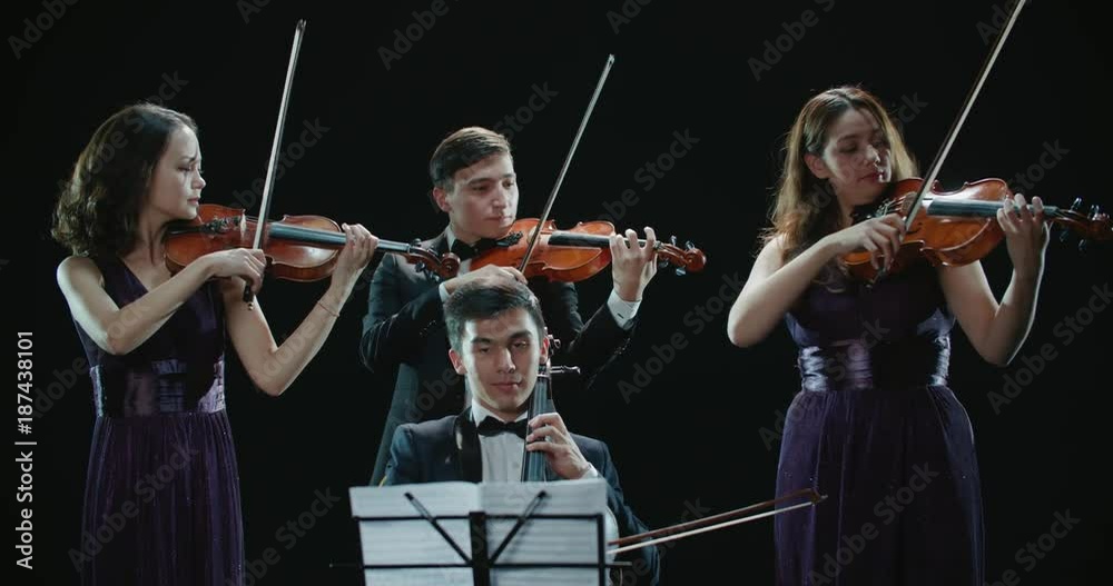 classical string quartet during the performance of the symphony ...
