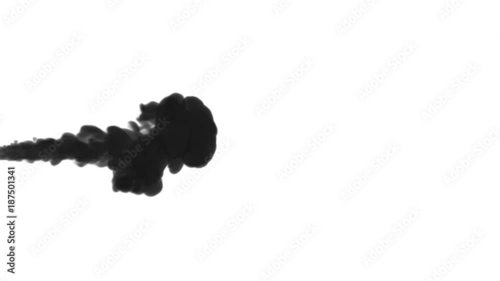 One ink flow, infusion black dye cloud or smoke, ink inject on white in ...
