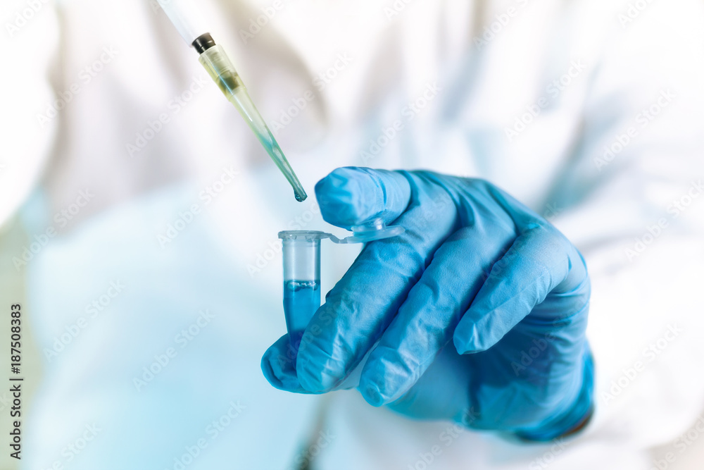 scientist pipetting medical sample in pcr tube in the laboratory ...