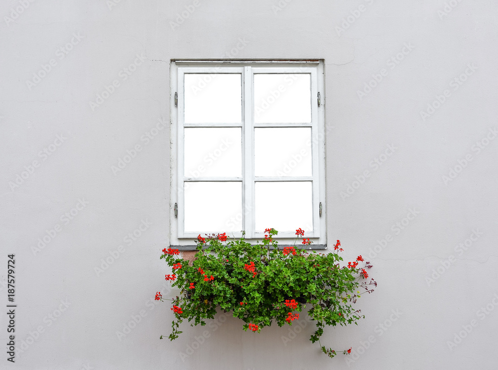 Beautiful old window frame with flower box and light grey wall ...