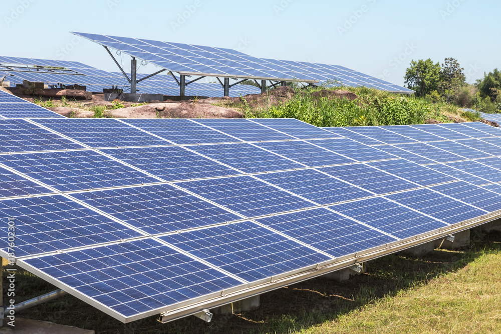 rows array of polycrystalline silicon solar cells in solar power plant ...