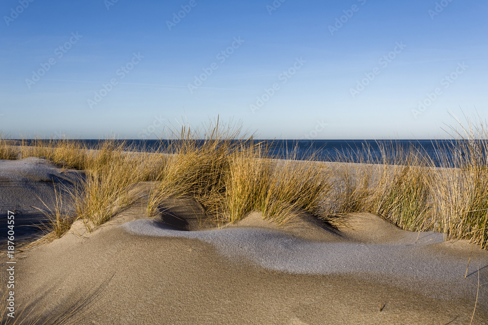 Sylt Stock Photo | Adobe Stock