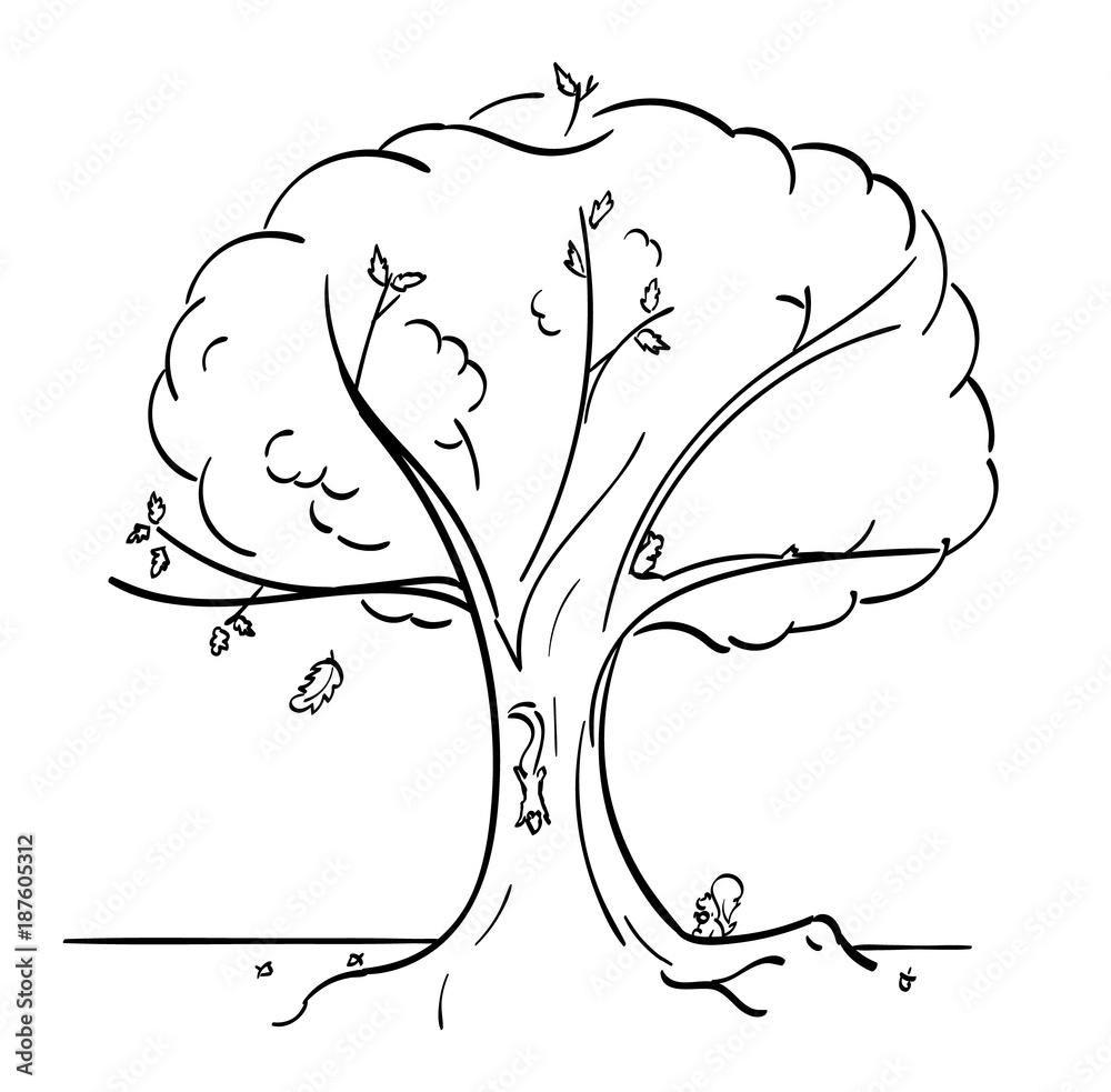 Outline of an Oak Tree with Squirrels and Acorns Stock Vector | Adobe Stock