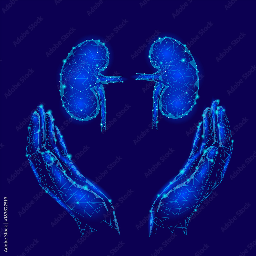 World Kidney Day greeting card low poly design template. Health ...