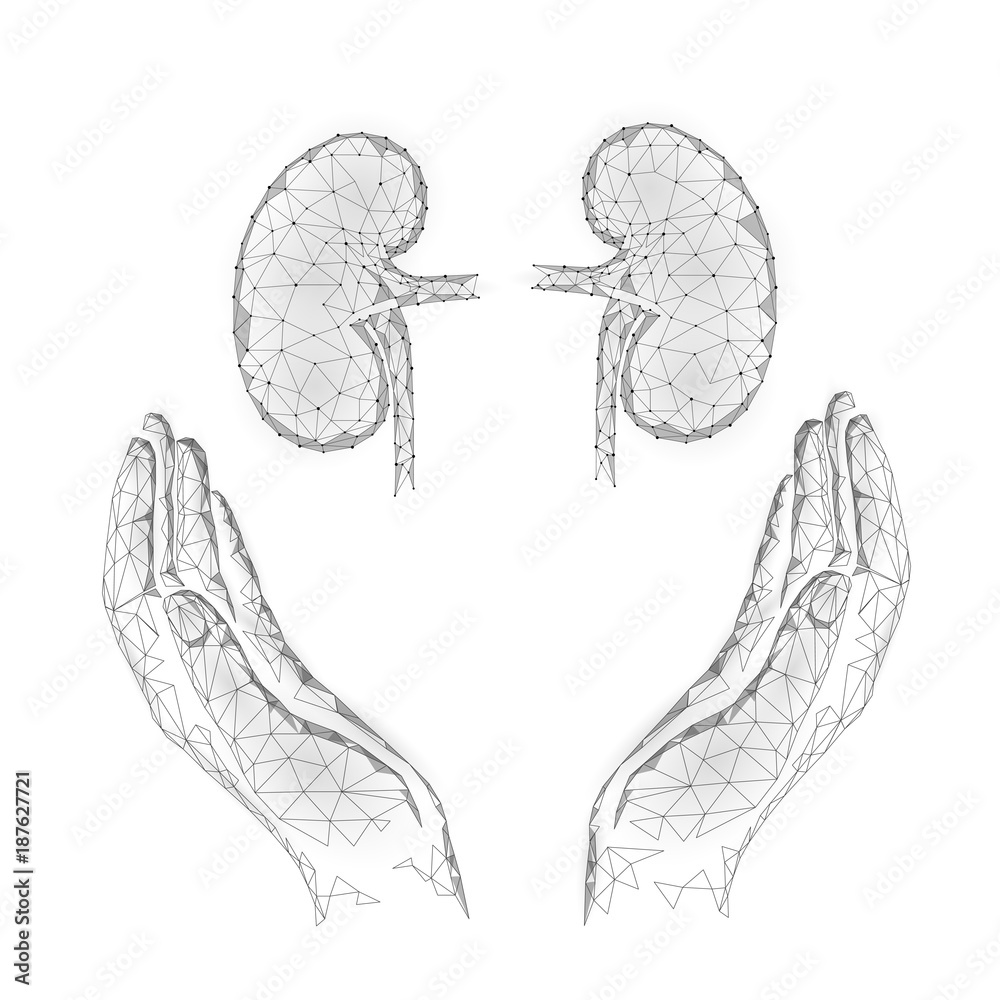 World Kidney Day greeting card low poly design template. Health ...
