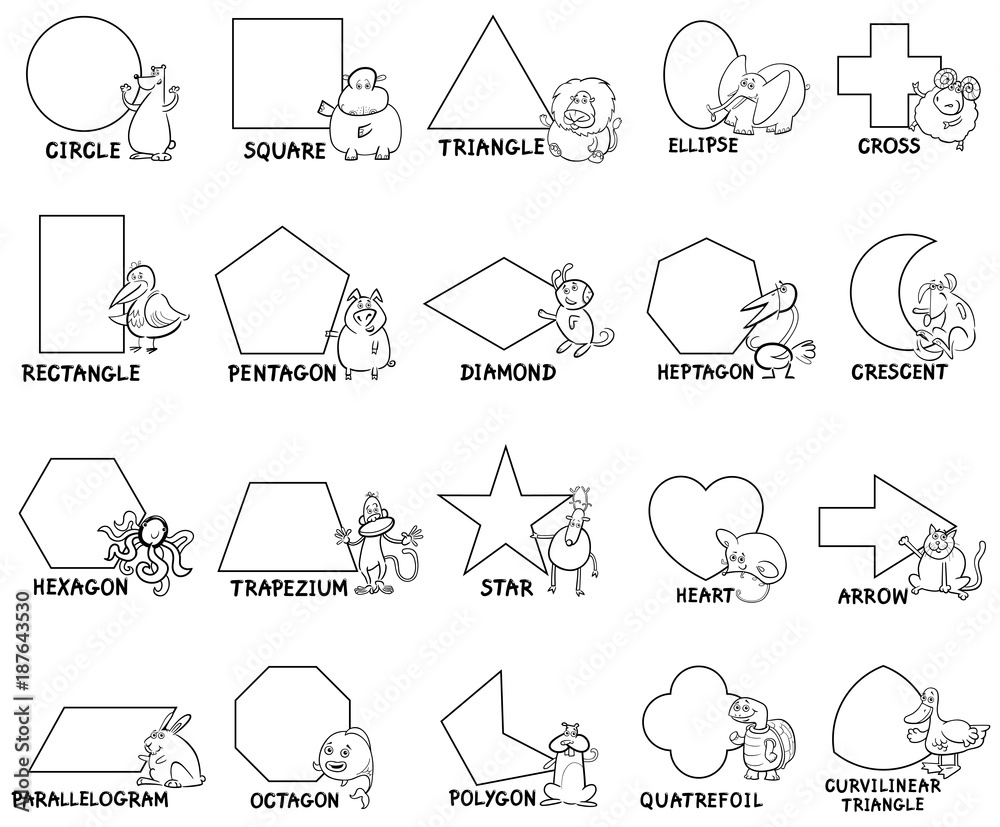 Geometric Shapes In Animals