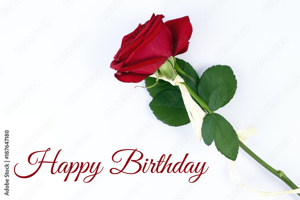 Happy Birthday Wallpaper With Red Rose