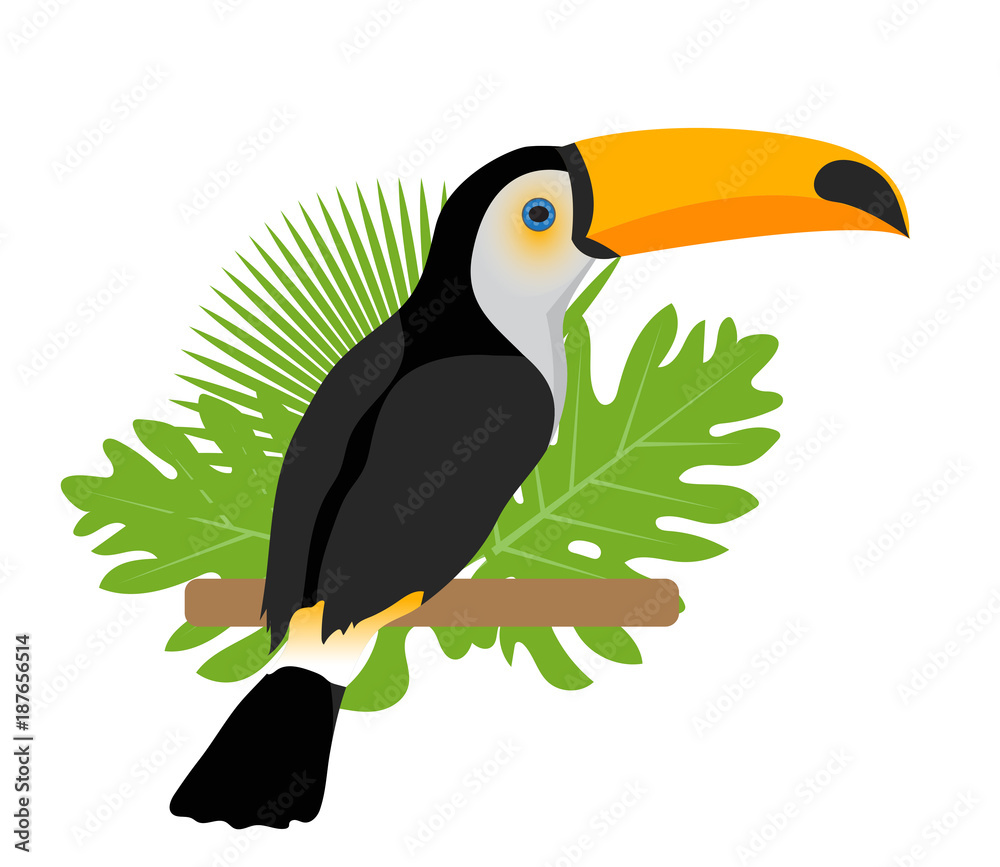 Toco toucan icon is a flat, cartoon style. Exotic bird sitting on a ...