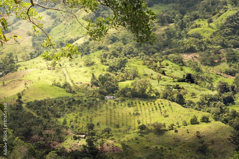 landscape of farm in colombia. Stock Photo | Adobe Stock