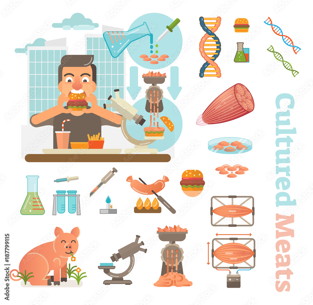 Male eating hamburger produced from a cultured meat in a laboratory on ...