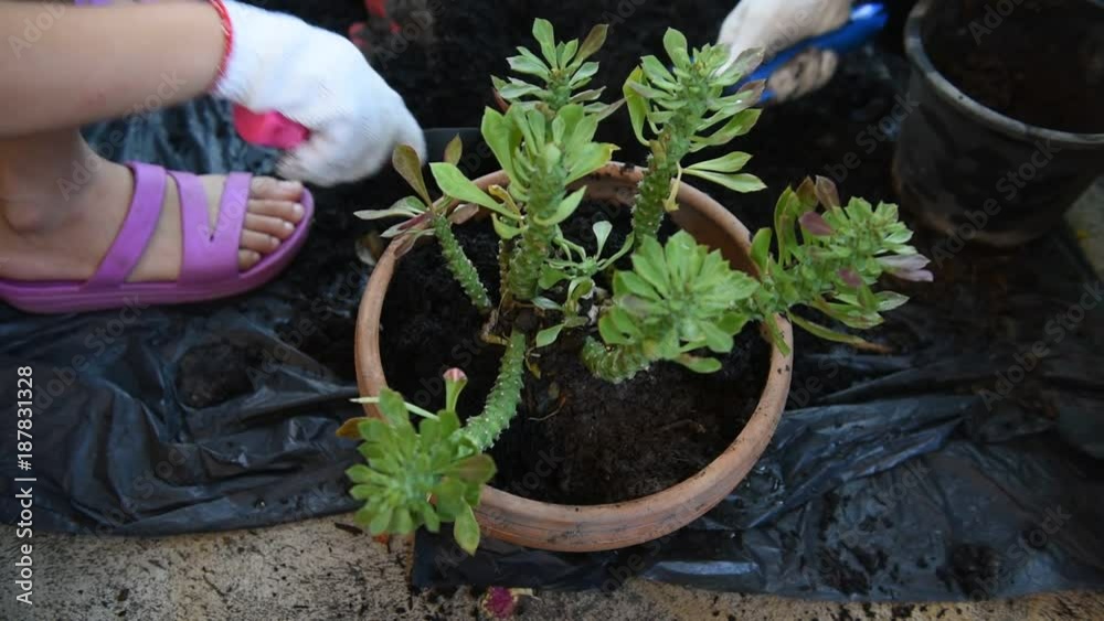 save earth save life by plant the tree, World Environment Day vídeo do ...