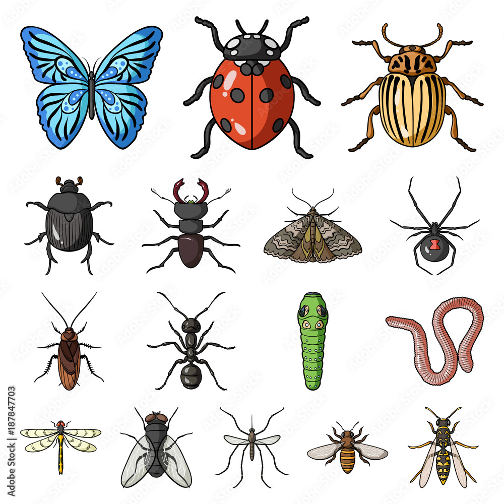 Different kinds of insects cartoon icons in set collection for design ...