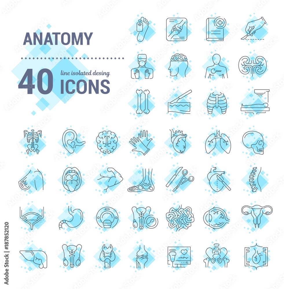 Vector graphic set. Icons in flat, contour, thin, minimal and linear ...