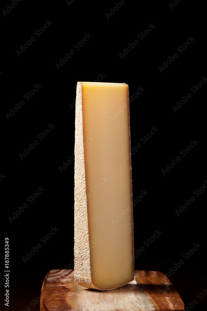 a large piece of Swiss cheese on a black background. side view. Milk ...