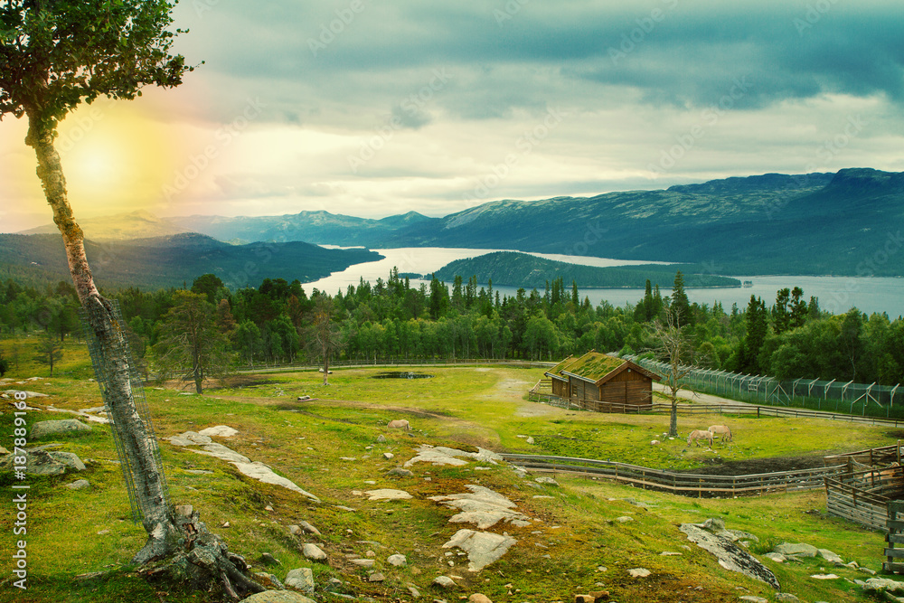 Beautiful nordic scenery with forest, mountains, lake and house with ...