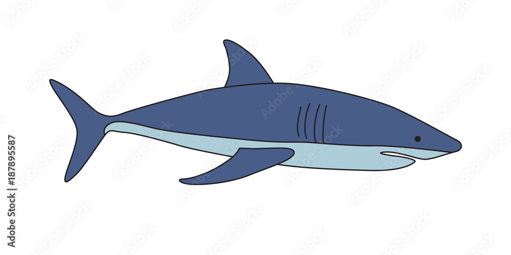 Blue shark on white background Stock Vector | Adobe Stock