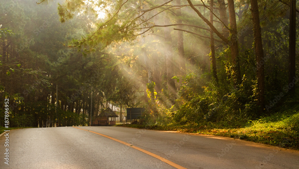 Landscape of sun rays morning through the mist illumining a curved ...