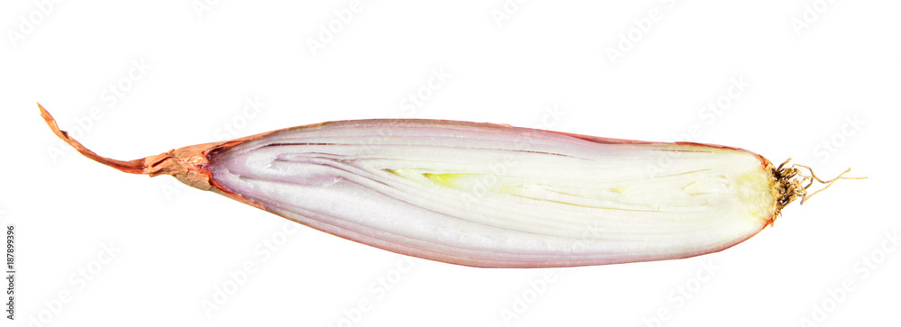 Shallot bulb cut in half inside longitudinal section isolated on white ...